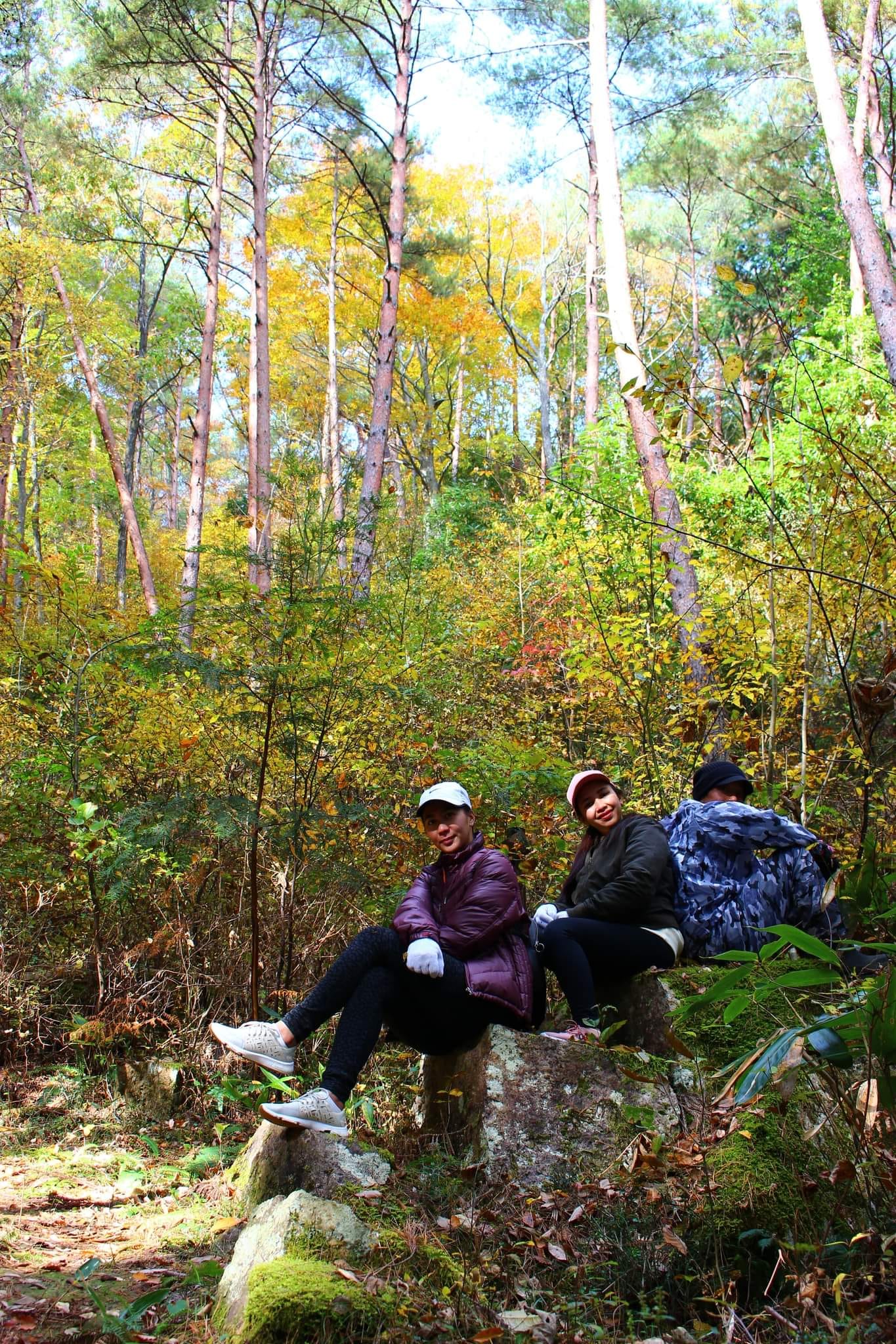Mt Mt Misen Boulder Walk in the Holy Minamimachi - Airbnb