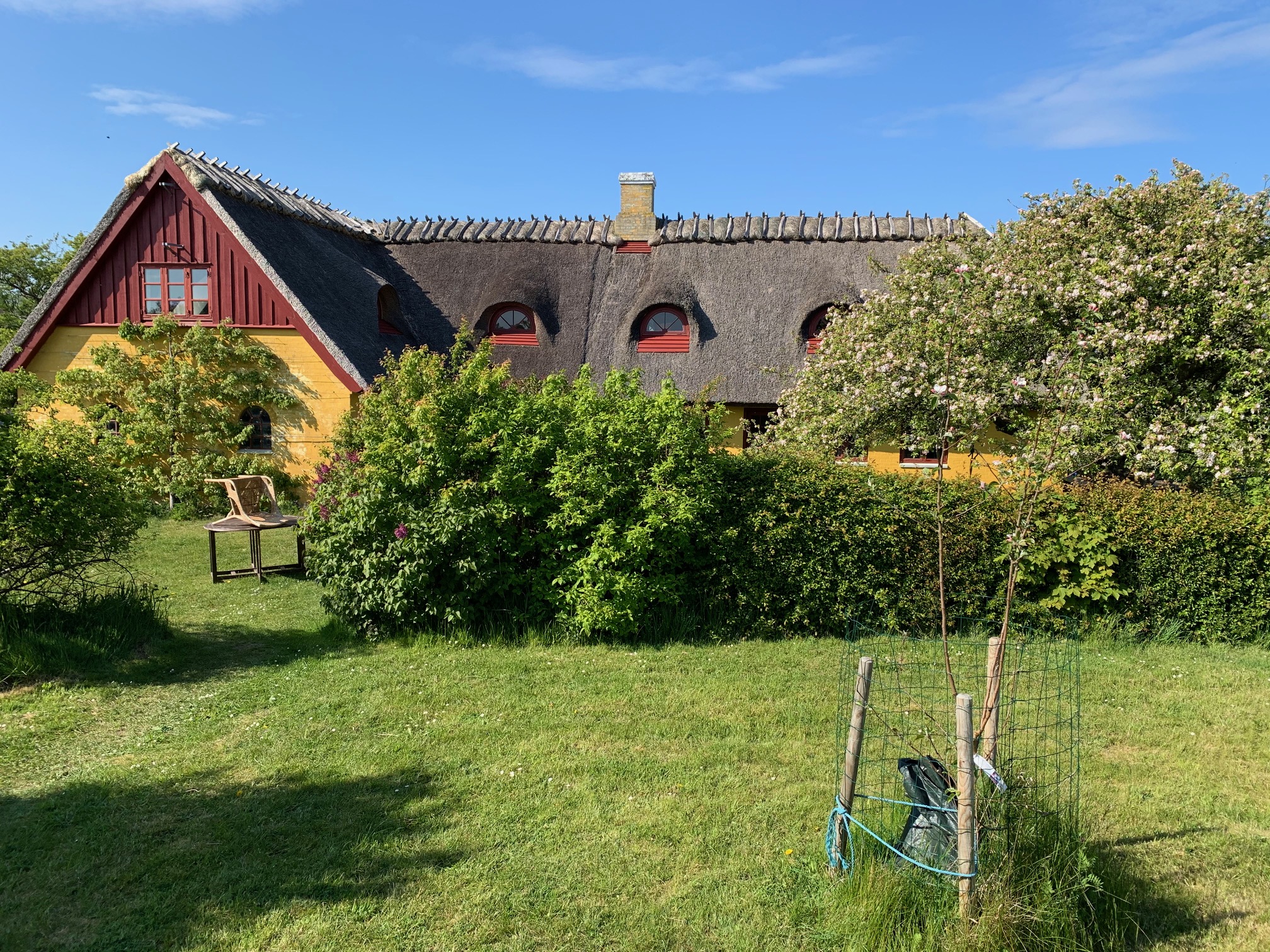 Idylisk sommerhus ved Møns klint - Huse til leje i Borre, Denmark, Danmark