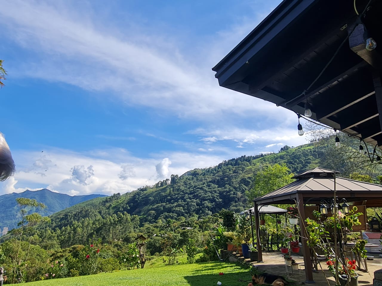 A wonderful retreat in Angelopolis, Antioquia. - Airbnb