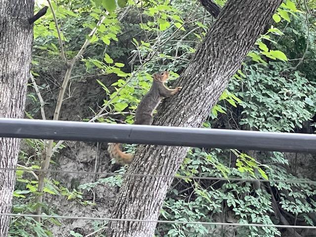 Nebraska Hidden Paradise River Front Cabin - Cabins for Rent in Long ...