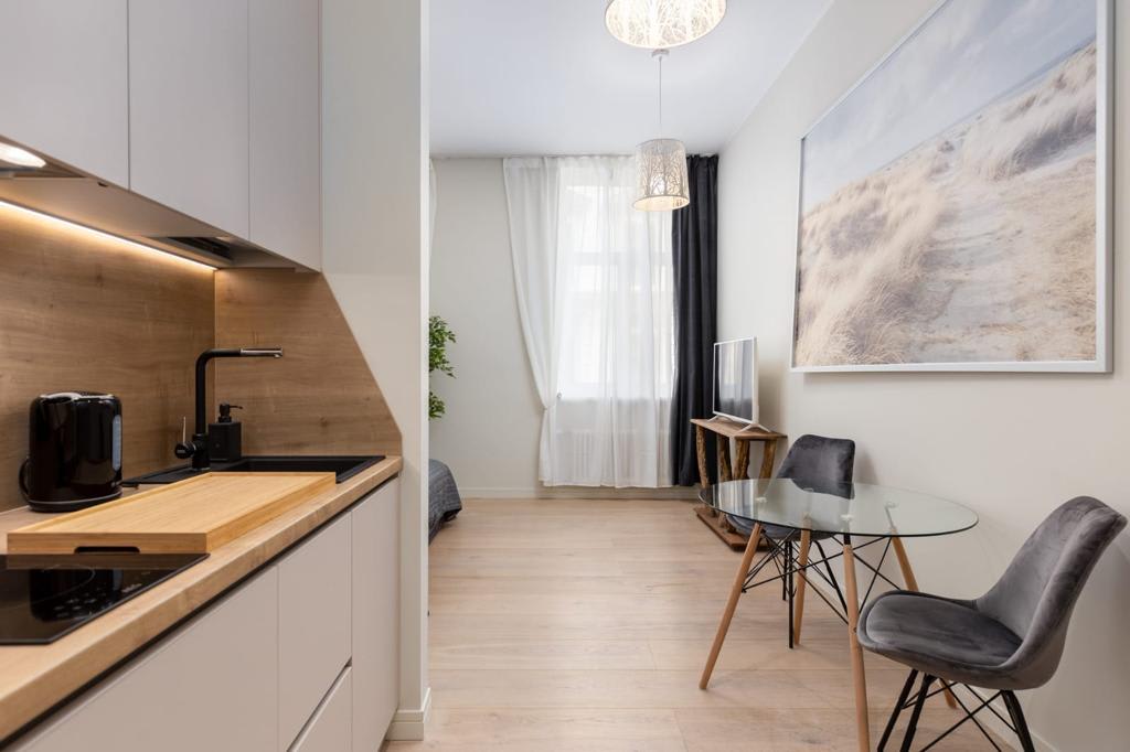 Kalnina Street Modern Studio Apartment in Riga - Apartments for Rent in ...